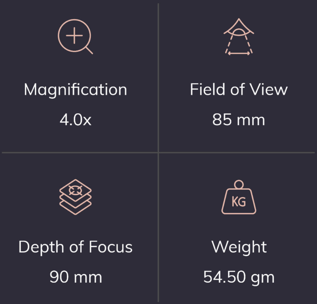 ERGO – SWAN LOUPES